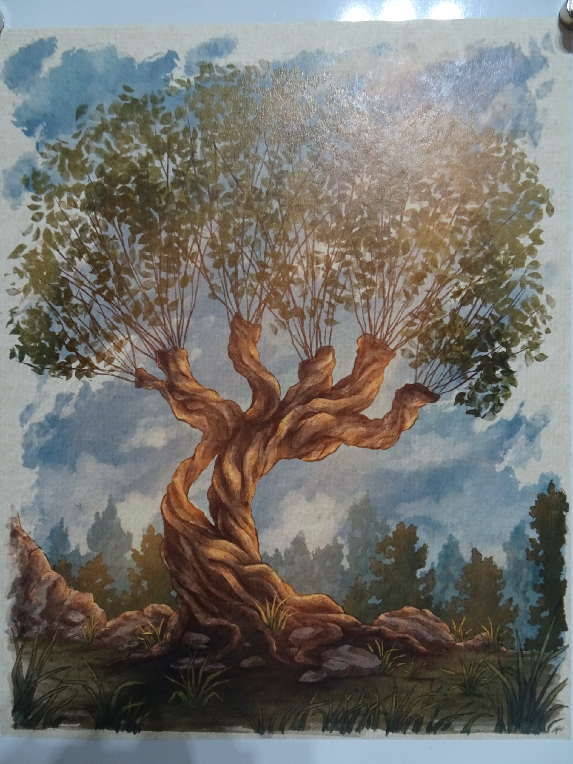 Whomping Willow Poster Print 20.5x25.5cm The Wizarding Trunk Harry ...