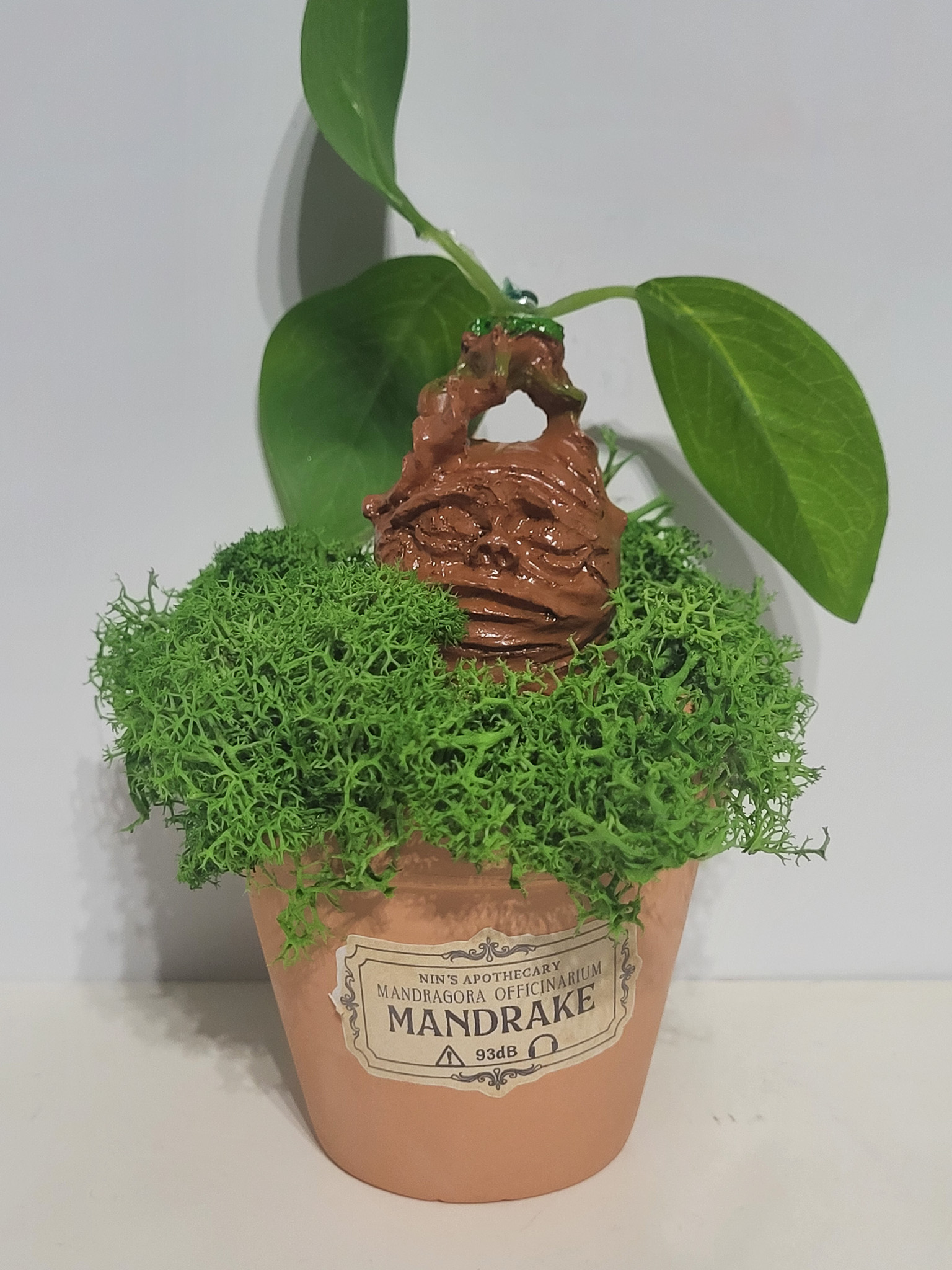 Mandrake in Plant Pot - JALien Curiosities & Collectables
