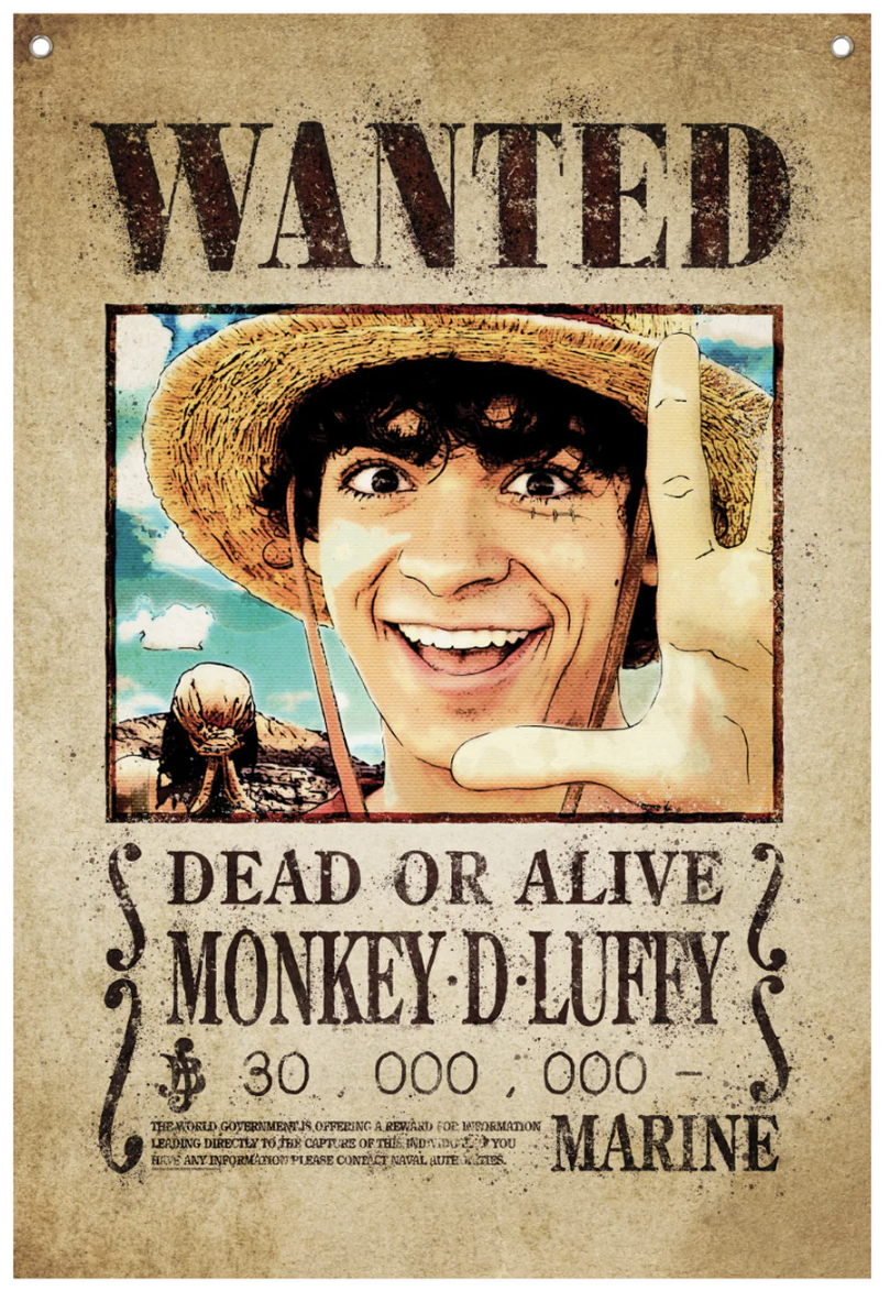 One Piece Monkey D Luffy Wall Banner - JALien Curiosities & Collectables